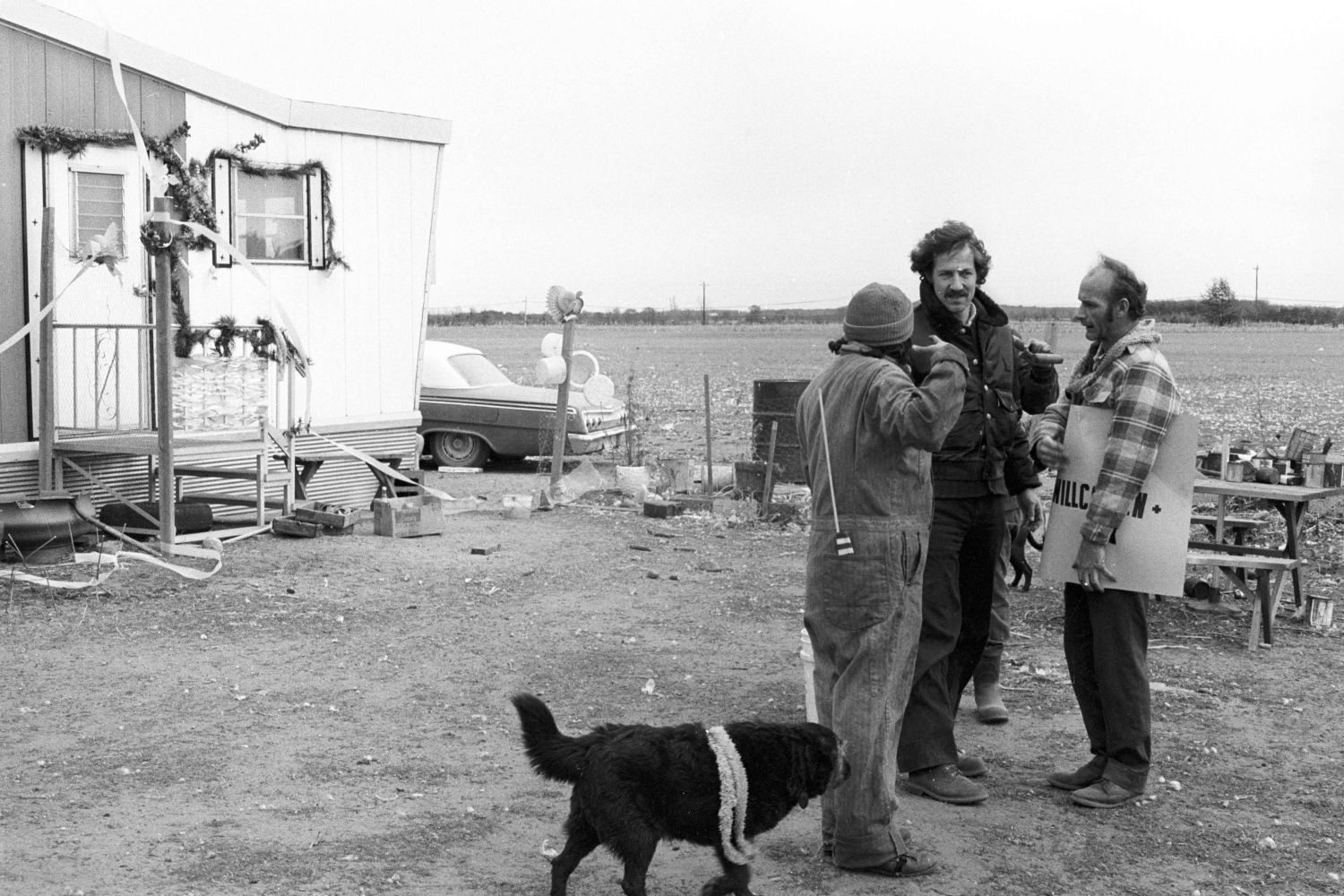 Stroszek | Deutsche Kinemathek