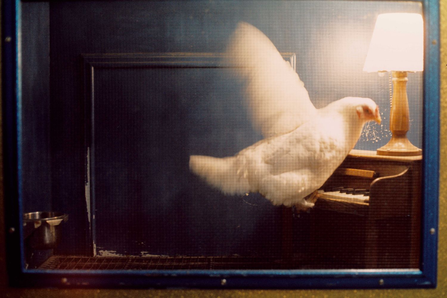 Stroszek | Deutsche Kinemathek